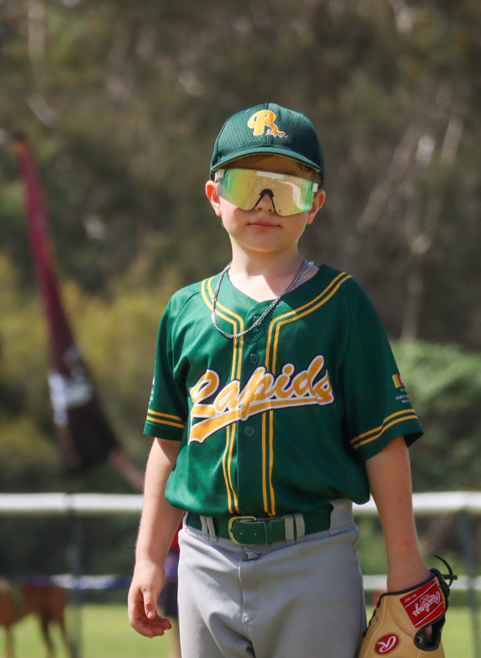 About - Baseball Queensland