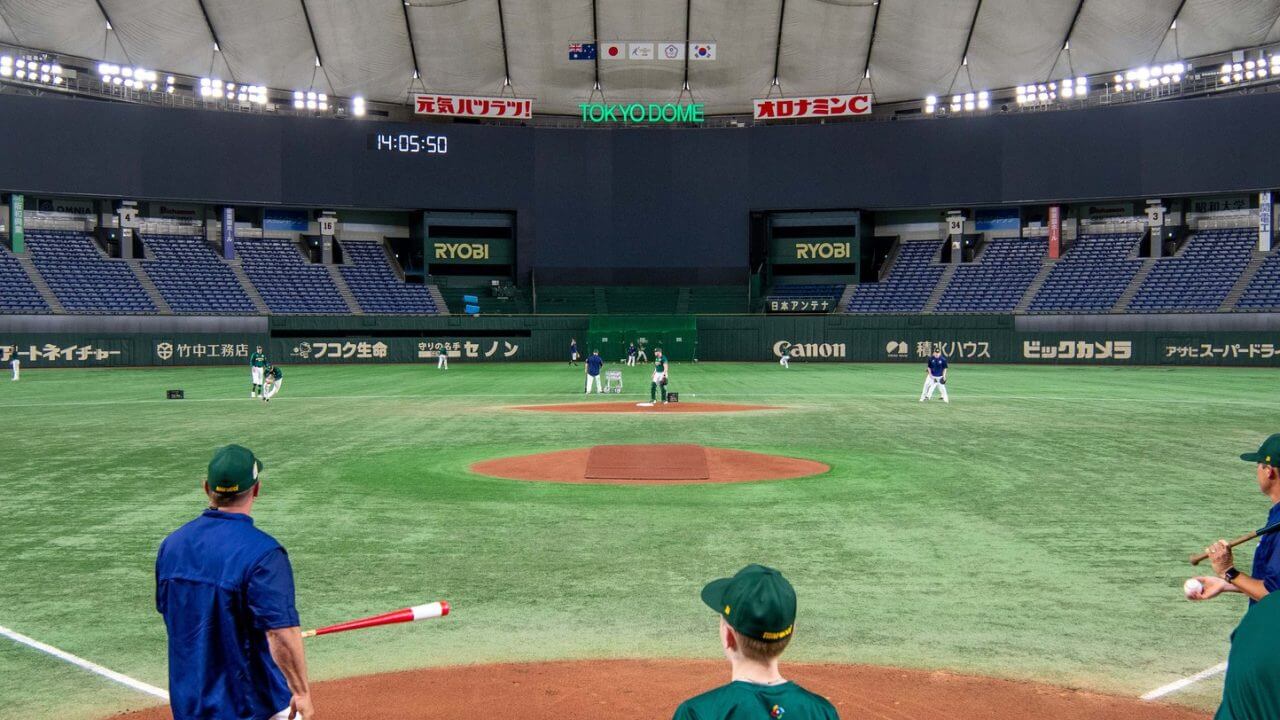 Q&A with Shayne Watson - Baseball Queensland