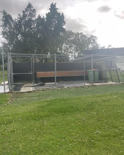 Coomera Cubs: A Story of Perseverance - Baseball Queensland