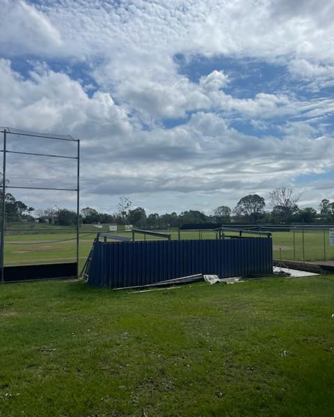 Coomera Cubs: A Story of Perseverance - Baseball Queensland