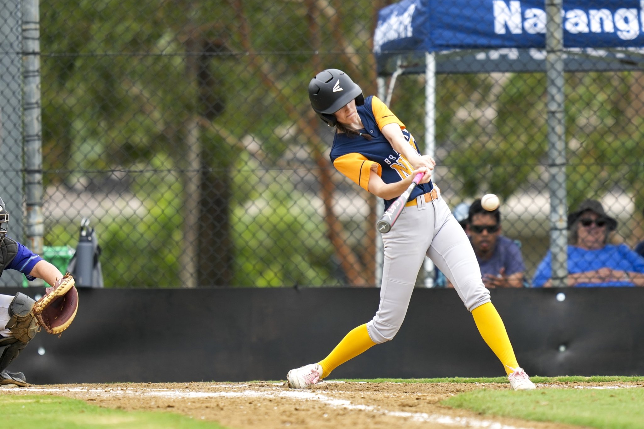 2024 Women’s Div 1 - Baseball Queensland