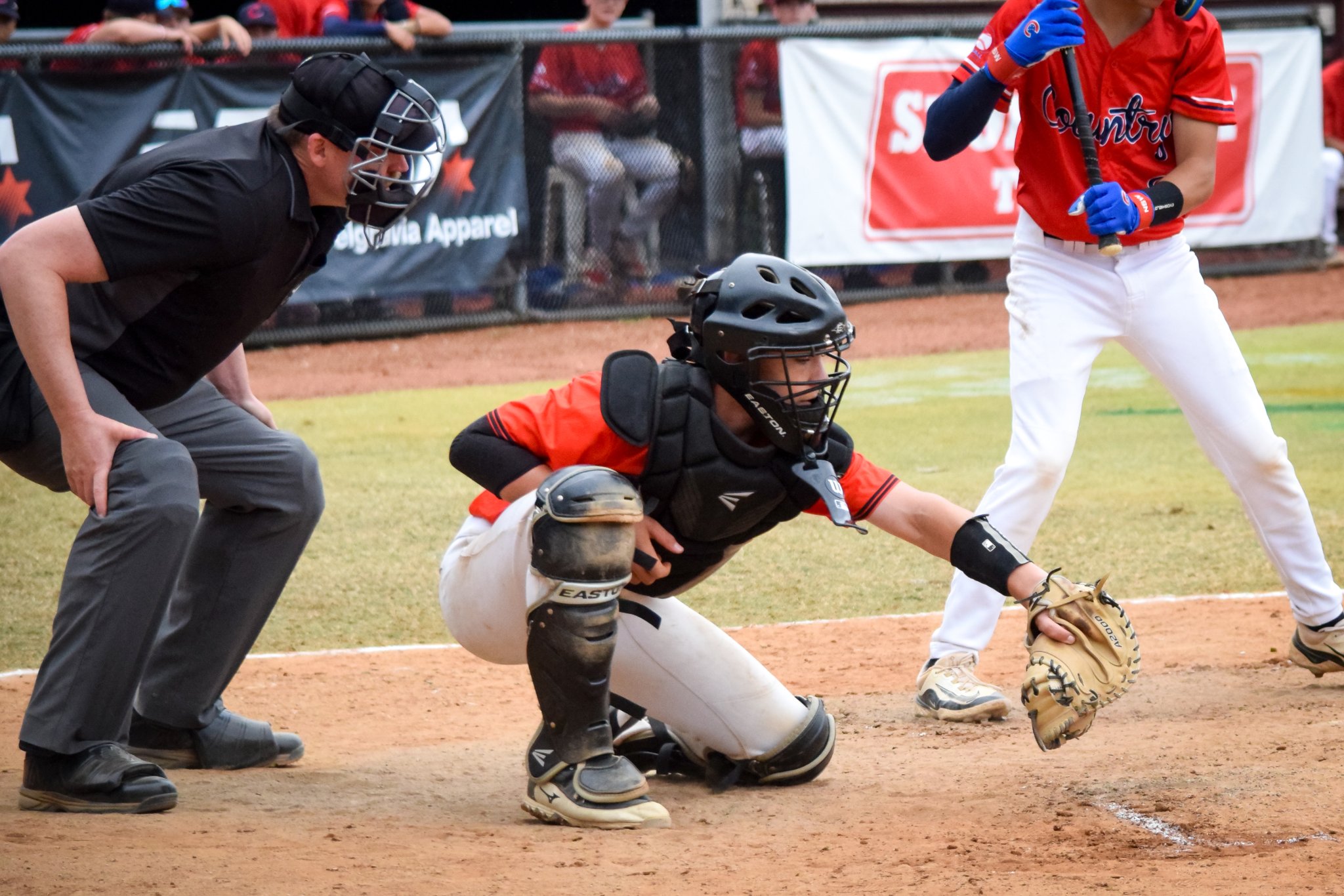 2025 AYC ROOS - Baseball Queensland
