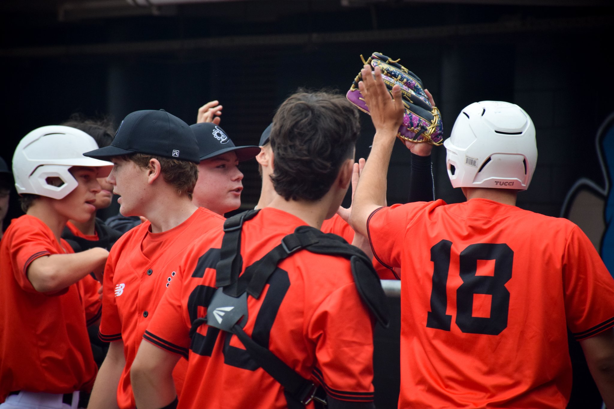 2025 AYC ROOS - Baseball Queensland