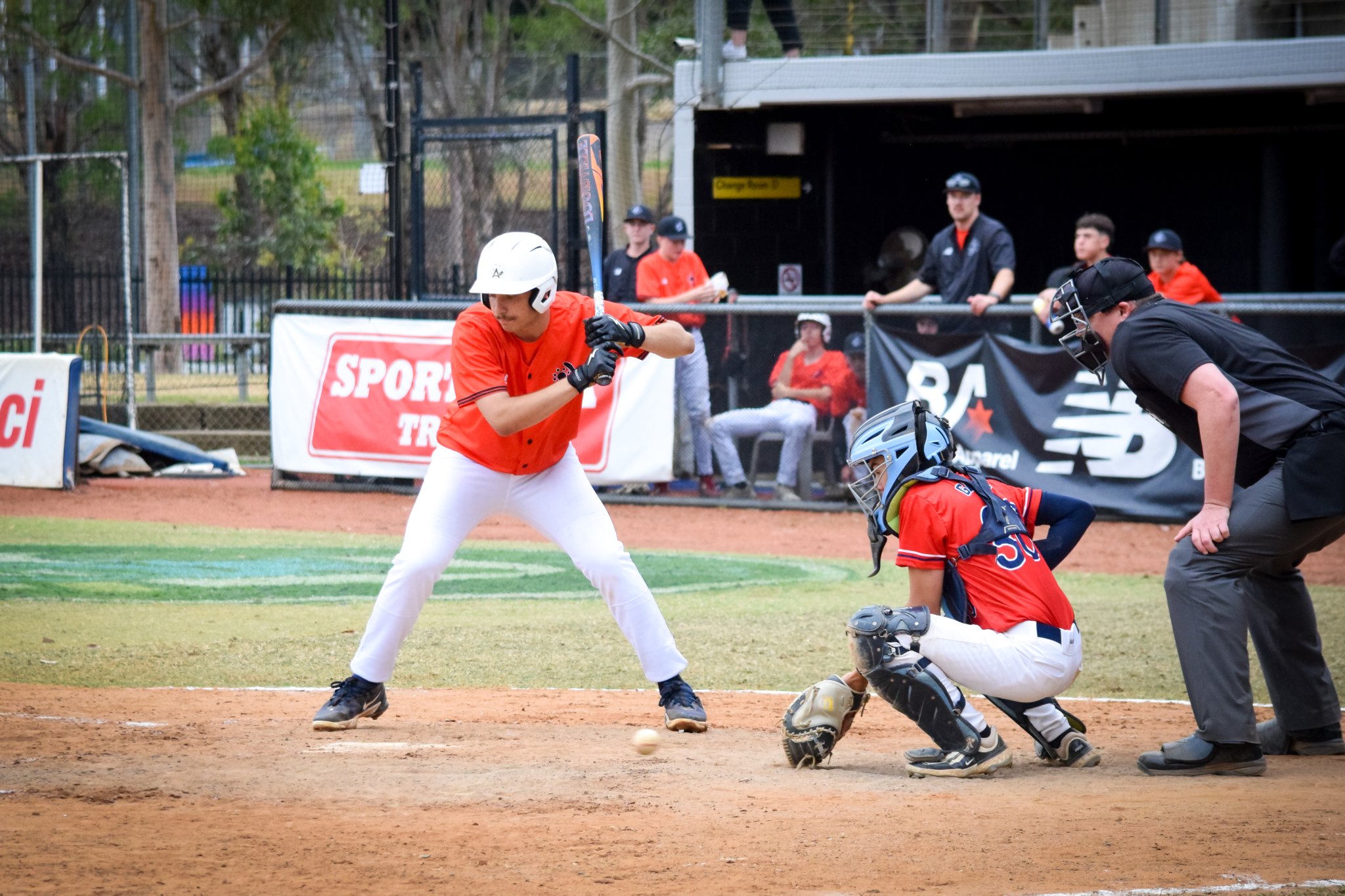 2025 AYC ROOS - Baseball Queensland