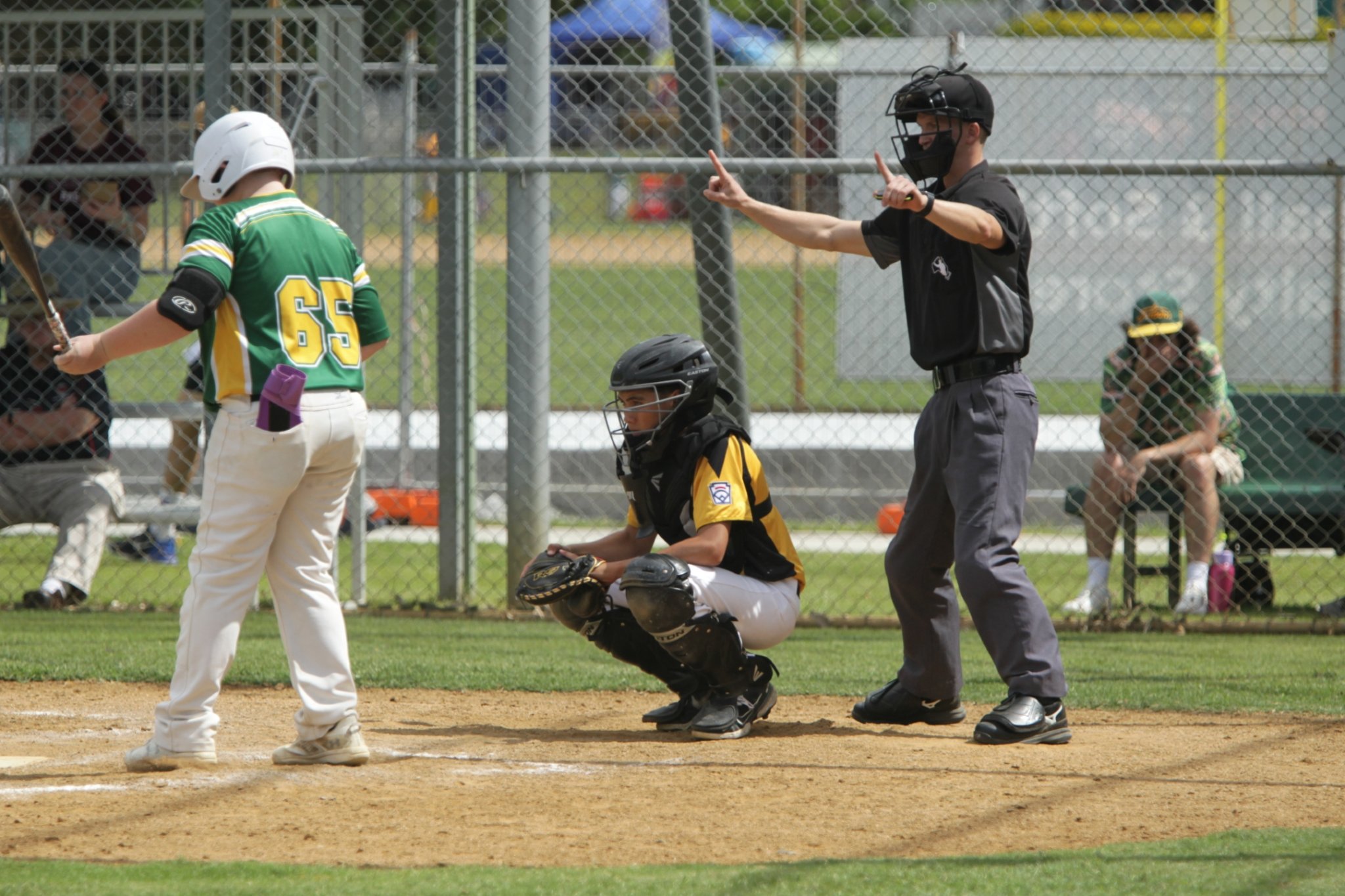 Junior League Championships - Baseball Queensland