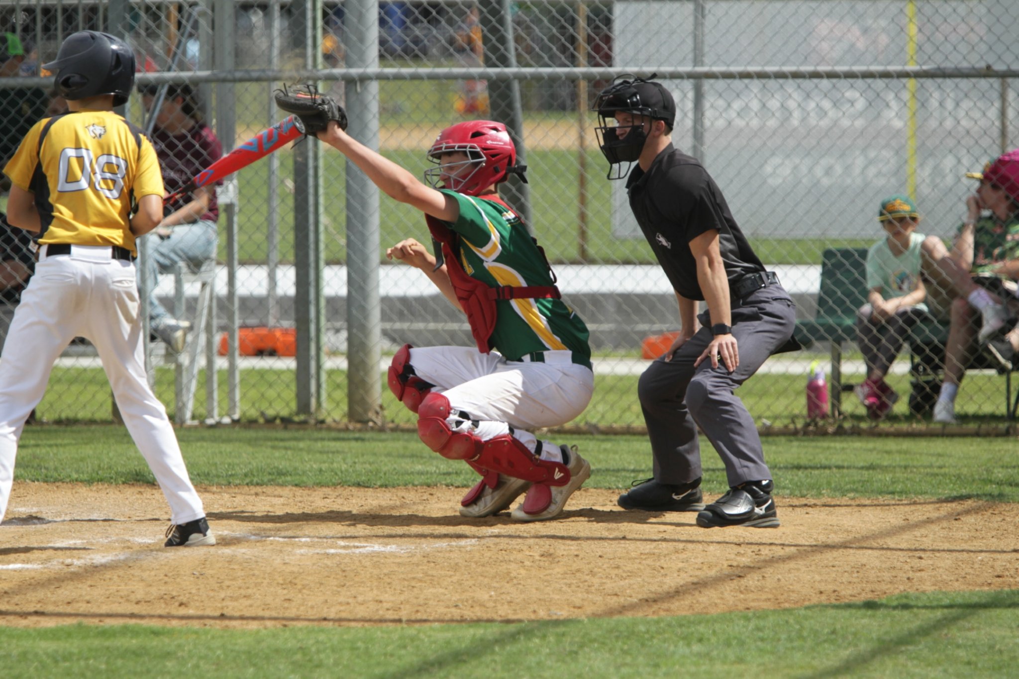 Junior League Championships - Baseball Queensland