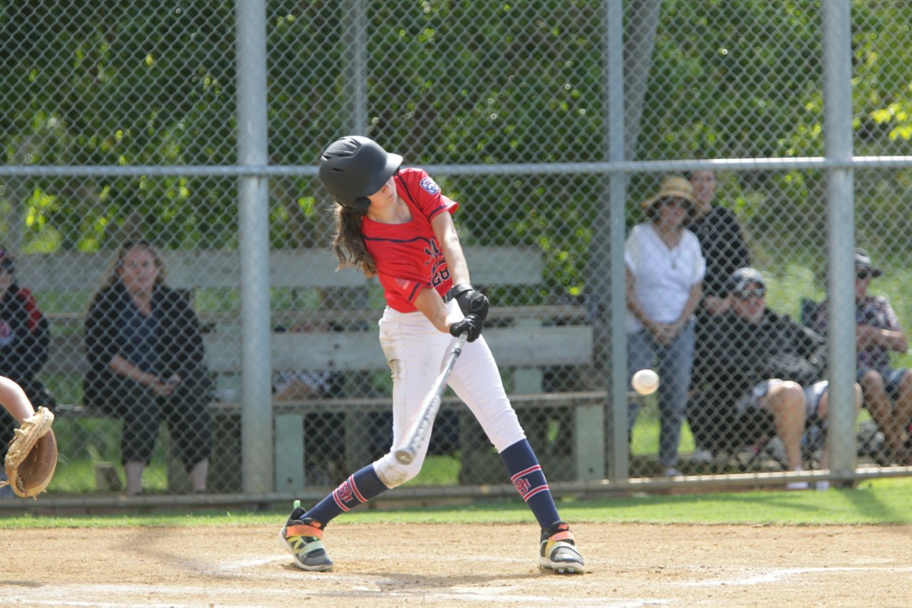 Gallery - Baseball Queensland